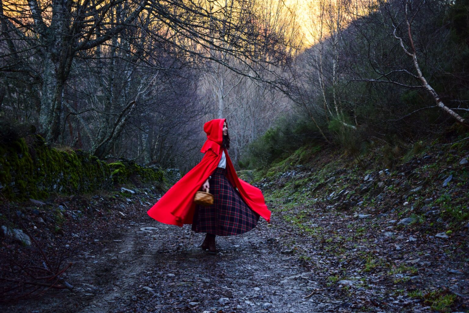 18th century cardinal cloak - Ele's Stories